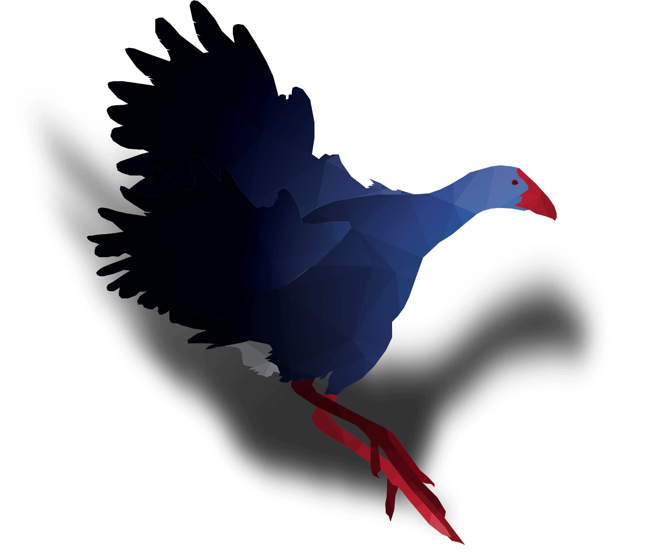 Forge Creative | Website Designers | Development & Web Design Agency ...